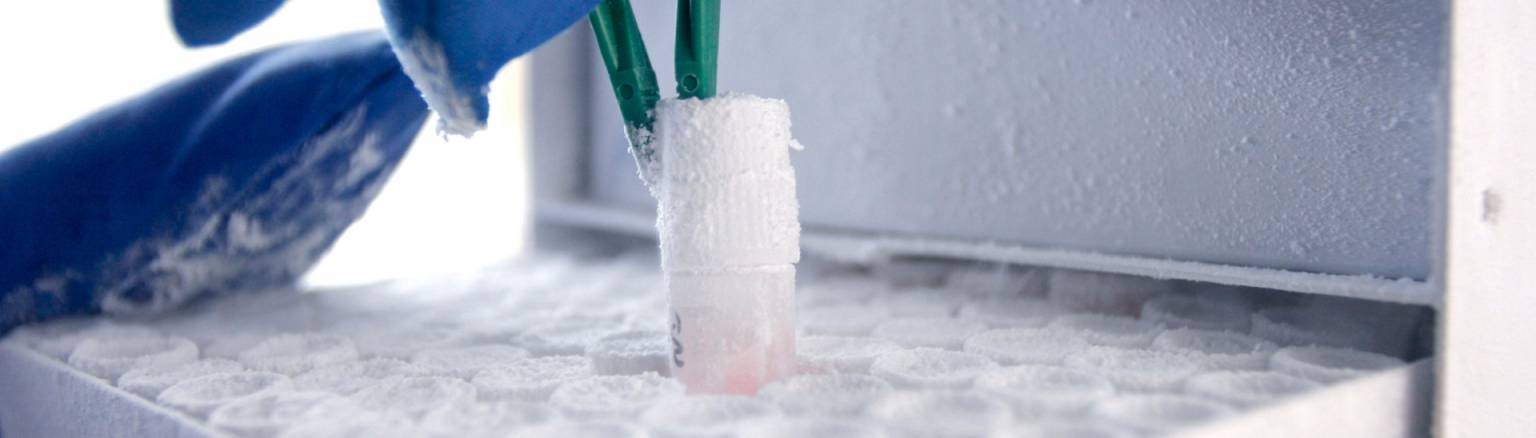 Master Cell Banking | Leinco