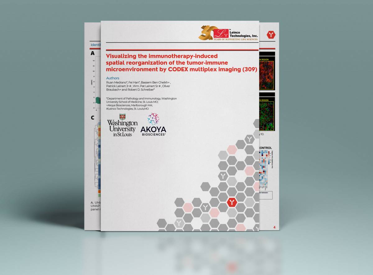 Spatial Biology Application Note Download - Leinco Technologies