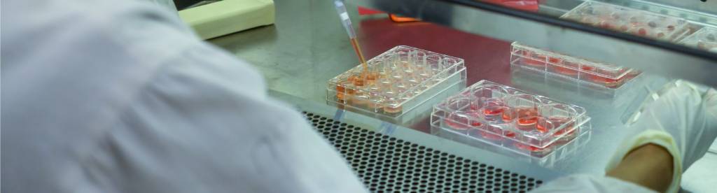 Promotions - Leinco Technologies