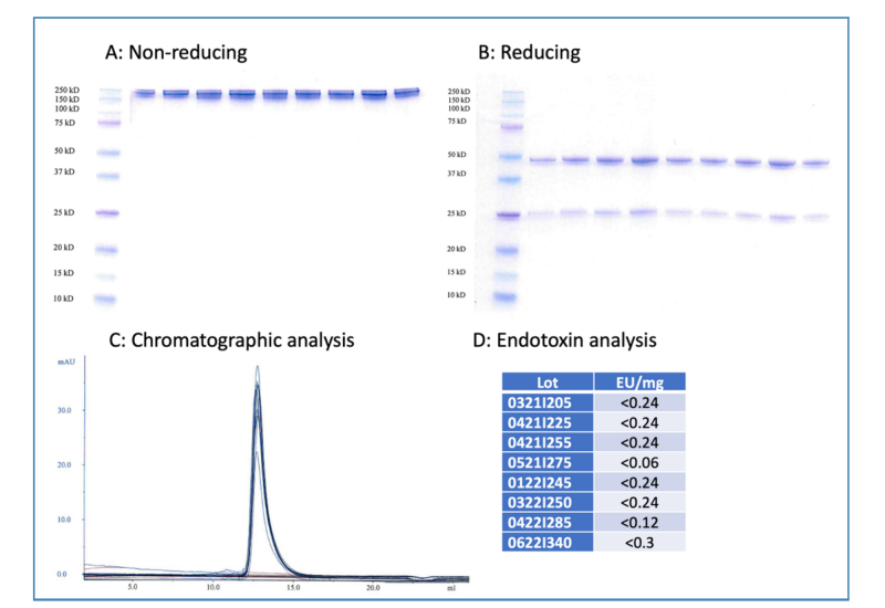 In Vivo Antibodies | Leinco Technologies