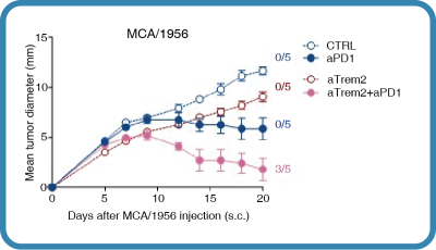 Antibodies For Research | Leinco Technologies