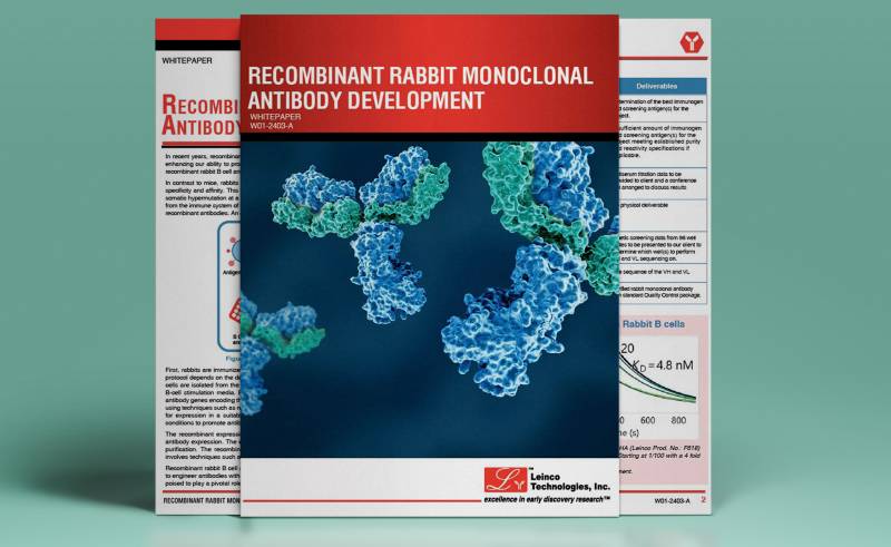 Recombinant Rabbit mAb Development Whitepaper Download - Leinco ...