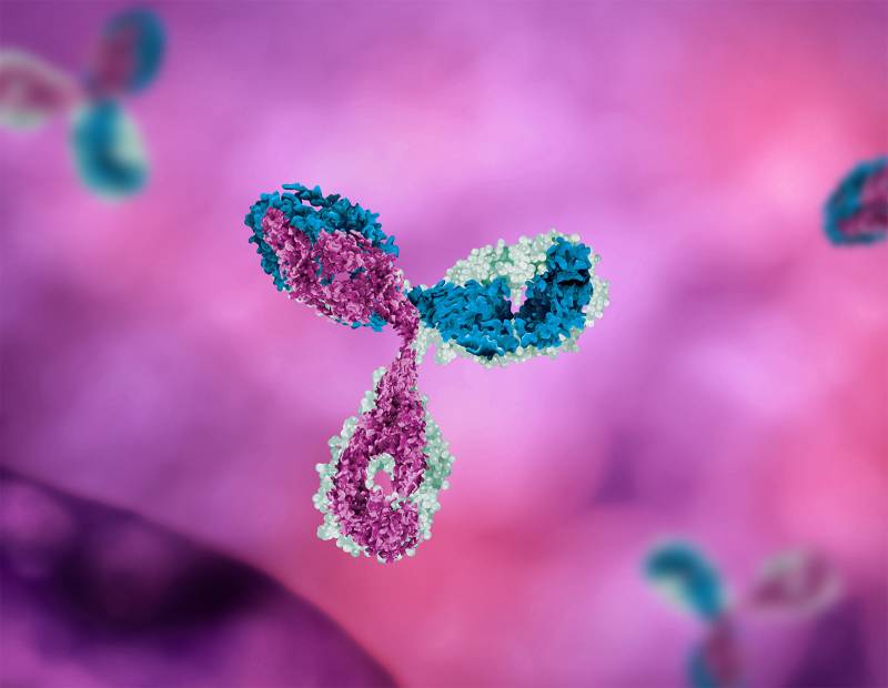 Polyclonal Development | Leinco Technologies