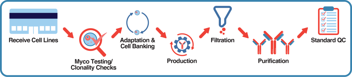 Roller Bottle Hybridoma Antibody Production | Leinco Technologies