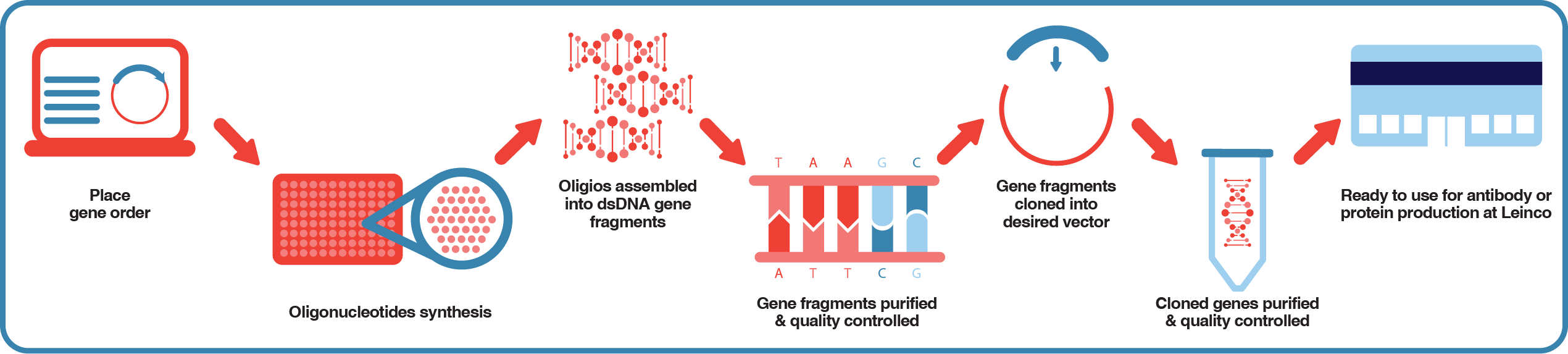 Gene Synthesis Services | Leinco Technologies