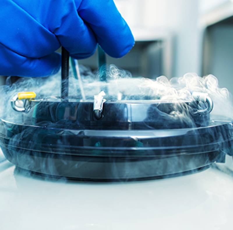 Cell Line Storage & Cell Banking Service | Leinco Technologies