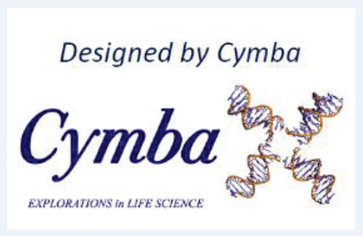 8-oxo-a DNA and RNA Damage Marker: The Ultimate Solution - Leinco ...