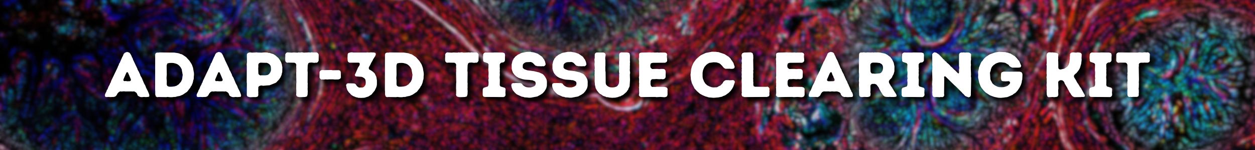 Leinco Press Release | ADAPT-3D™ Tissue Clearing Kit Launch